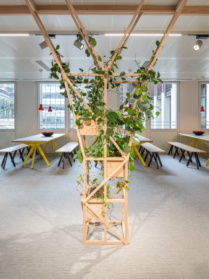 Bolon | Office Project | Cundall