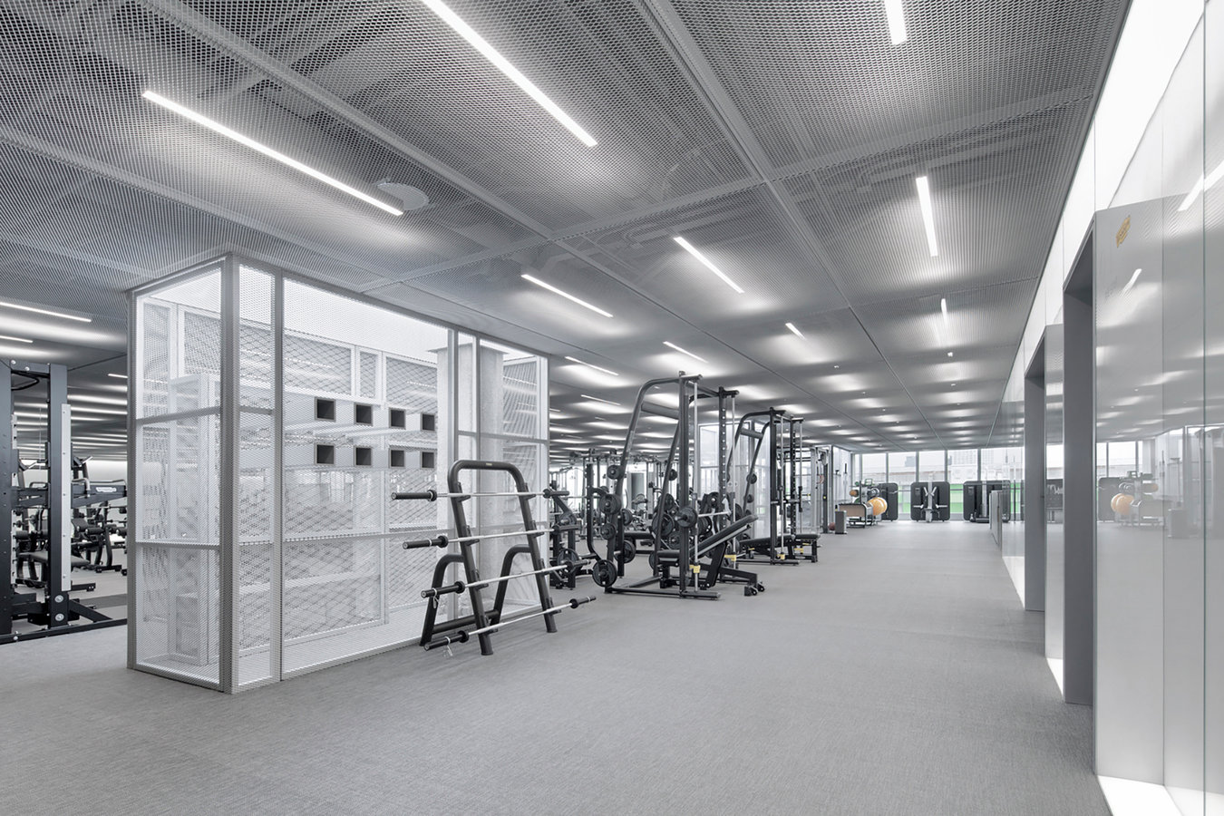 Bolon | ZWYN Urban Gym